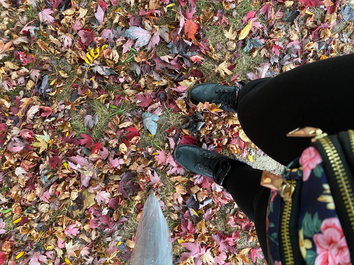 Daily Musings 13 – 12raisins